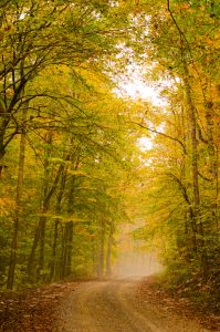 10 Best Places to Experience Fall in Alabama - Southern Trippers