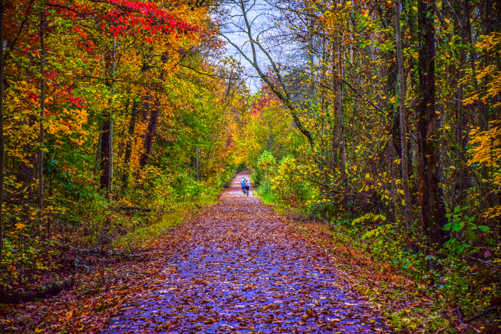 10 Best Places To Experience Fall In South Carolina Southern Trippers