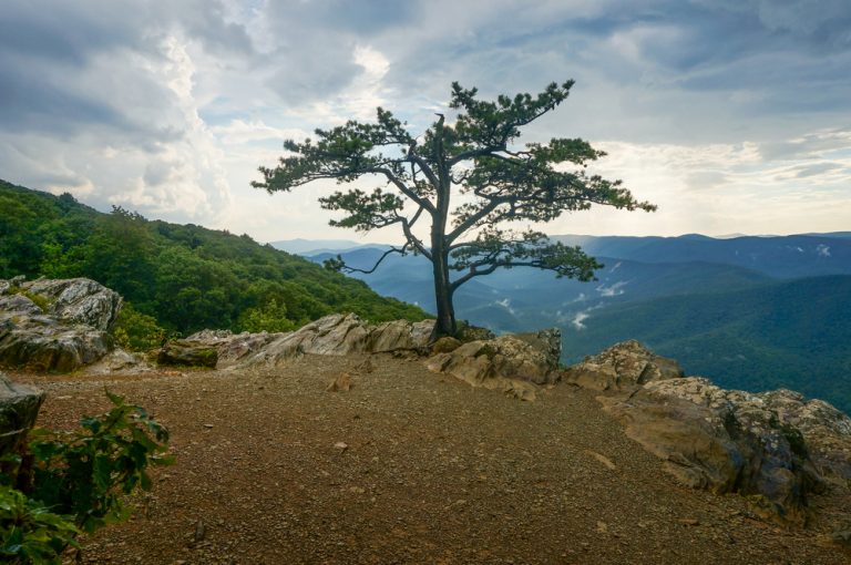 20 Best Blue Ridge Parkway Overlooks And Views In NC And VA - Southern ...