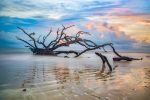 15 Pristine Beaches in The South, USA - Southern Trippers