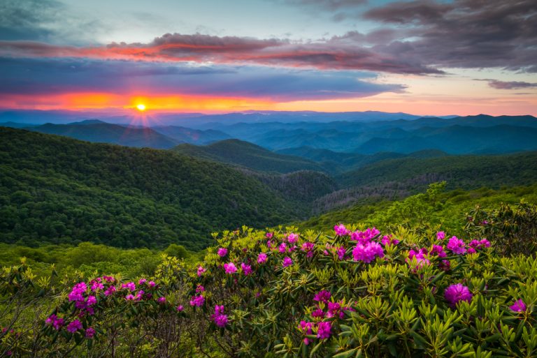 Blue Ridge Parkway Drive: The Ultimate Road Trip! - Southern Trippers