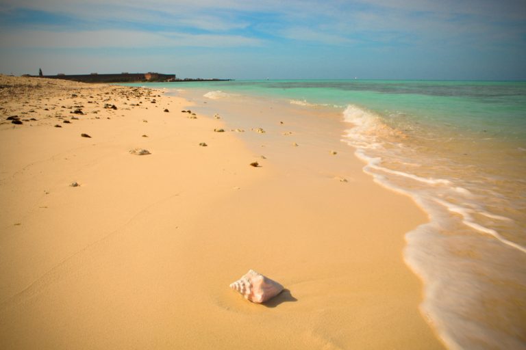 15 Pristine Beaches in The South, USA - Southern Trippers