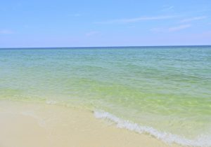15 Pristine Beaches in The South, USA - Southern Trippers