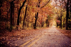 12 Best Places to Experience Fall In Arkansas - Southern Trippers
