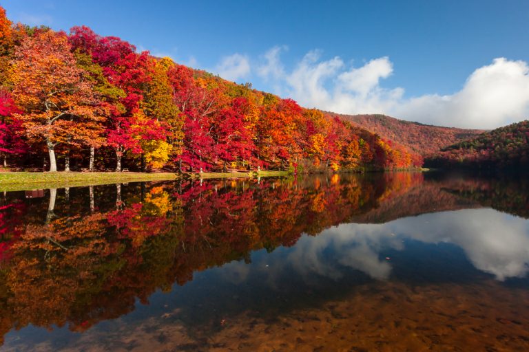 10 Best Places to Experience Fall in Virginia - Southern Trippers