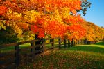 14 Best Places To Experience Fall In Kentucky - Southern Trippers