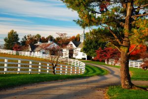 14 Best Places To Experience Fall In Kentucky - Southern Trippers