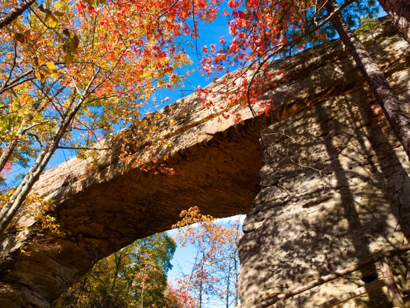 14 Best Places To Experience Fall In Kentucky - Southern Trippers