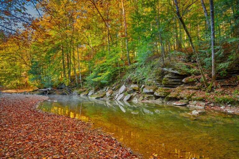 14 Best Places To Experience Fall In Kentucky - Southern Trippers