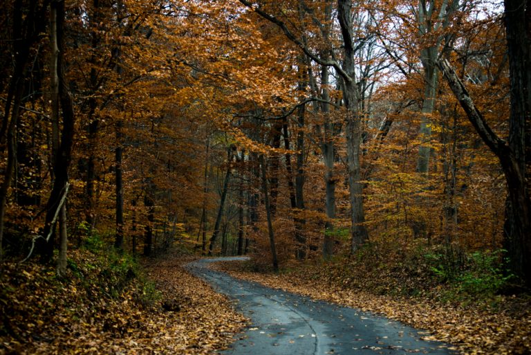 10 Best Places For Fall In Louisiana - Southern Trippers