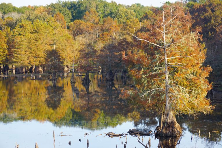 10 Best Places For Fall In Louisiana - Southern Trippers