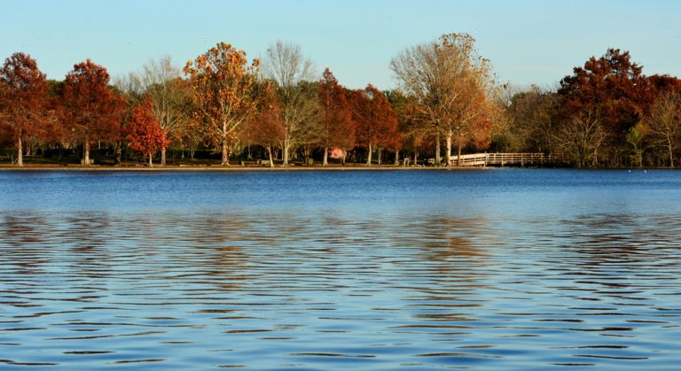10 Best Places For Fall In Louisiana - Southern Trippers