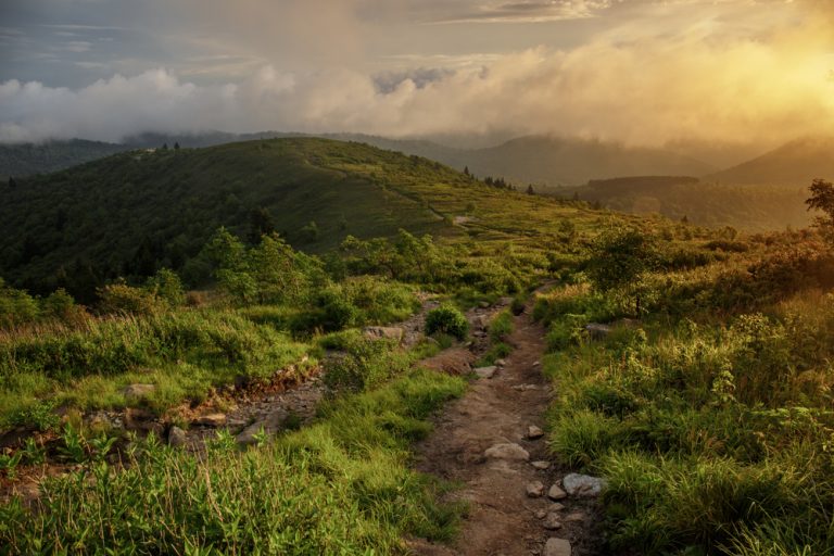 15 Best Asheville Hiking Trails Near The City (Waterfalls + Blue Ridge!) - Southern Trippers