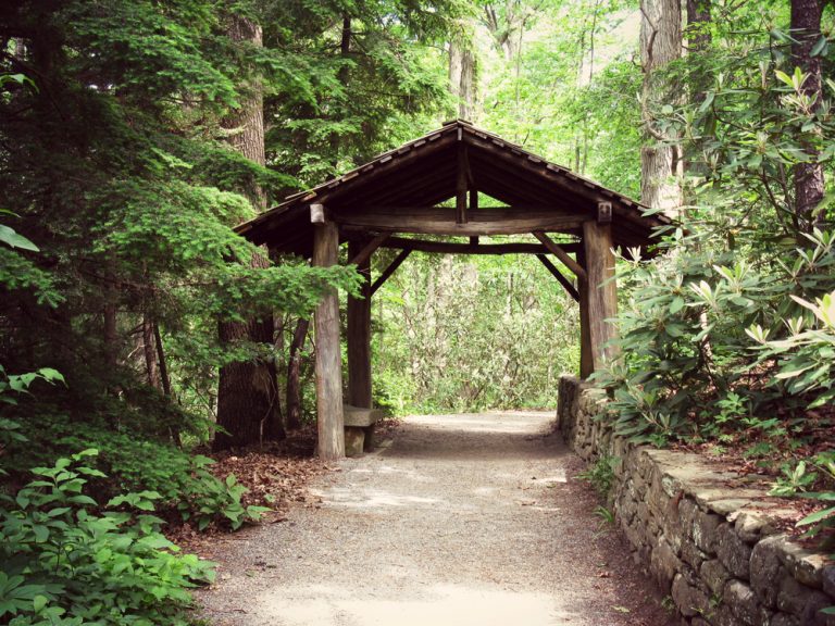 15 Best Asheville Hiking Trails Near The City (Waterfalls + Blue Ridge!) - Southern Trippers