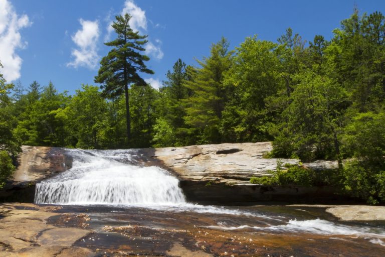 15 Best Asheville Hiking Trails Near The City (Waterfalls + Blue Ridge ...