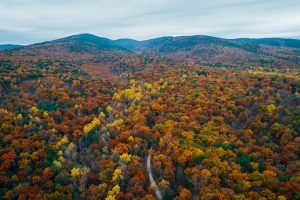 15 Interesting Virginia Day Trips (Hidden Gems, Small Towns And More ...