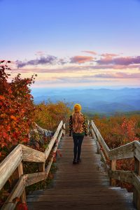 20 Best Blue Ridge Parkway Overlooks And Views In NC And VA - Southern ...