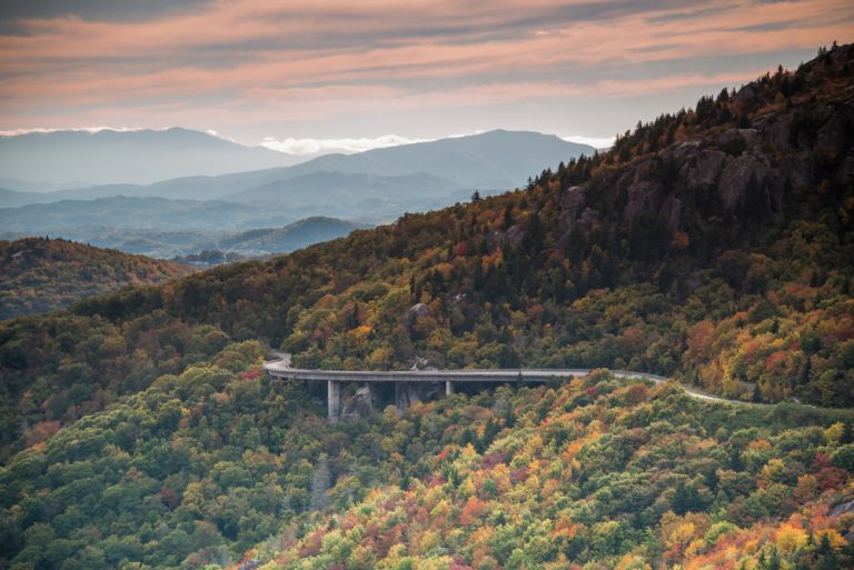 Tips For Rough Ridge Trail: The Best Blue Ridge Parkway Viewpoint ...