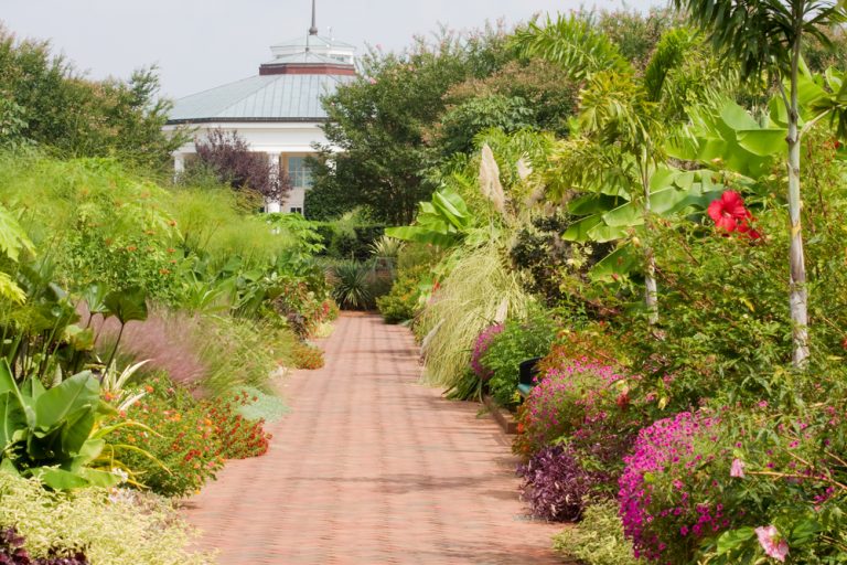 14 Best Botanical Gardens in North Carolina You Must Visit - Southern ...