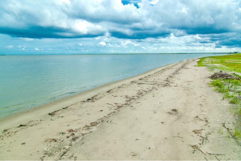 7 Best Beaches in Louisiana You Shouldn’t Miss - Southern Trippers