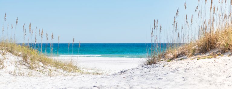 12 Best Beaches in Tennessee (And Nearby!) - Southern Trippers