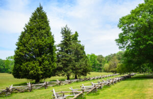 15 Interesting Historical Sites in Virginia you Must Visit - Southern ...