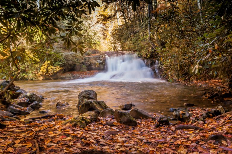 15 Best State Parks In Georgia You Must Visit - Southern Trippers