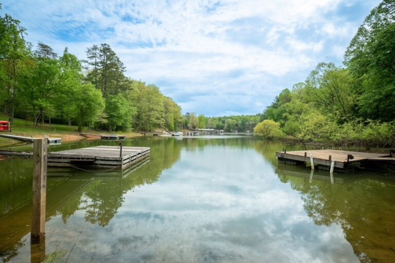 13 Best North Georgia Cabins You Must Visit - Southern Trippers
