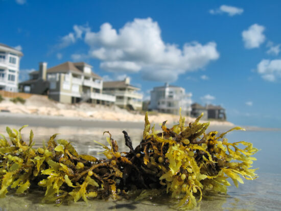 15 Prettiest Islands In North Carolina To Escape To - Southern Trippers