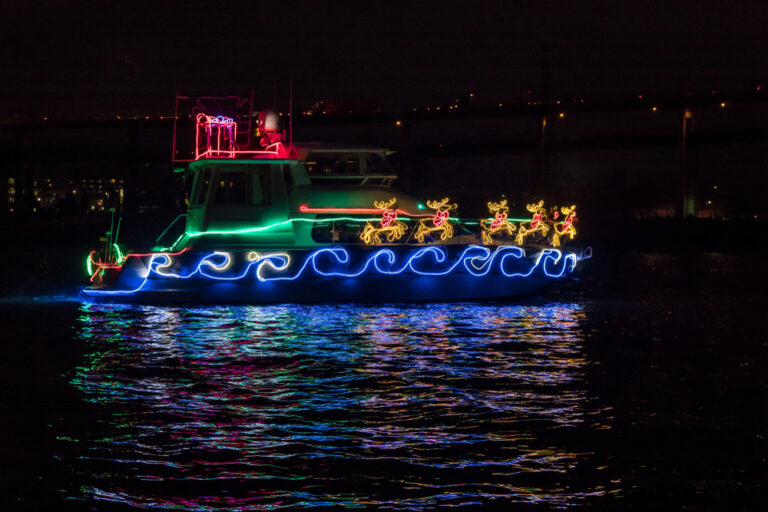 12 Festive Ways To Celebrate Christmas In Washington DC - Southern Trippers