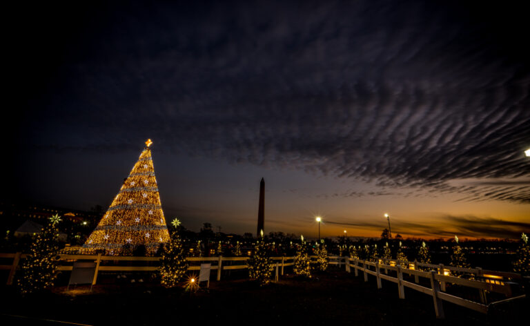 12 Festive Ways To Celebrate Christmas In Washington DC - Southern Trippers