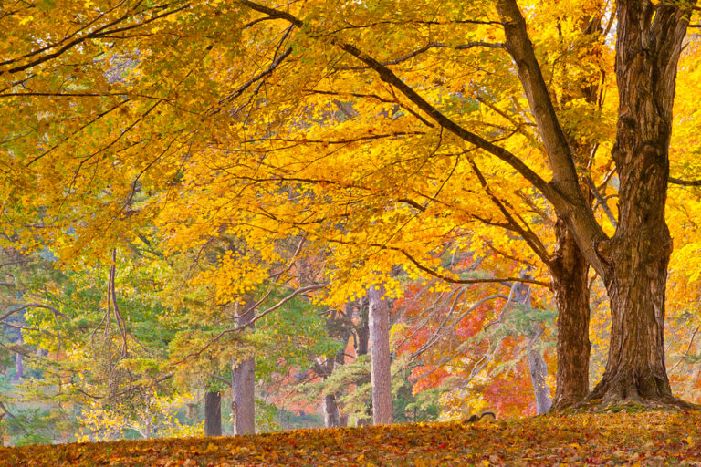 14 Best Places To Experience Fall In Kentucky - Southern Trippers