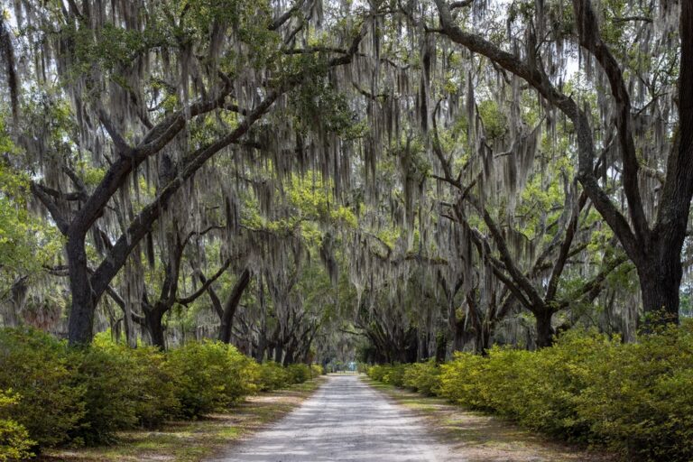 12 Haunted Hotels in Savannah GA That Will Creep You Out! - Southern ...