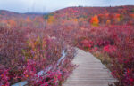 15 Best Things To Do In Banner Elk NC You Shouldn't Miss - Southern ...