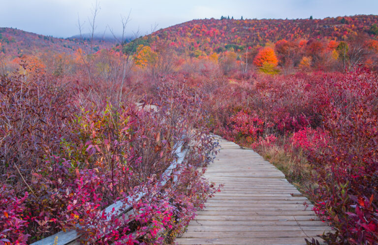 15 Best Things To Do In Banner Elk NC You Shouldn't Miss - Southern ...