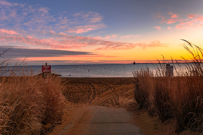 10 Best Beaches in Virginia Beach (and Nearby!) You Must Visit ...
