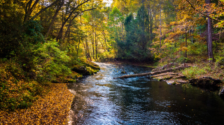 10 Best Places For Fall in Maryland (Best Foliage Spots!) - Southern ...