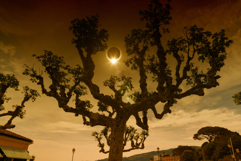 Texas Solar Eclipse 2024: Where To See, Path Of Totality, & More ...