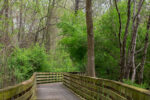 12 Best Bike Trails In Atlanta You Should Try - Southern Trippers