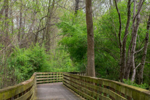 12 Best Bike Trails In Atlanta You Should Try - Southern Trippers