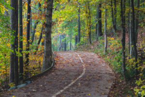 12 Best Bike Trails In Atlanta You Should Try - Southern Trippers