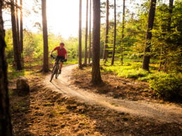 12 Best Bike Trails In Atlanta You Should Try - Southern Trippers