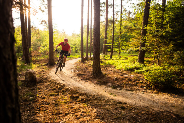 12 Best Bike Trails In Atlanta You Should Try - Southern Trippers