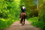 10 Best Places For Horseback Riding In Maryland - Southern Trippers