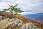 20 Best things to do in the Blue Ridge Mountains (VA/NC/GA) - Southern ...