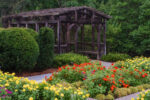 Spring In North Carolina: 10 Things To Do In March, April, And May ...