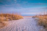 Spring In North Carolina: 10 Things To Do In March, April, And May ...
