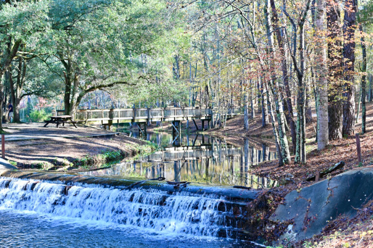 10 Best State Parks in South Carolina - Southern Trippers